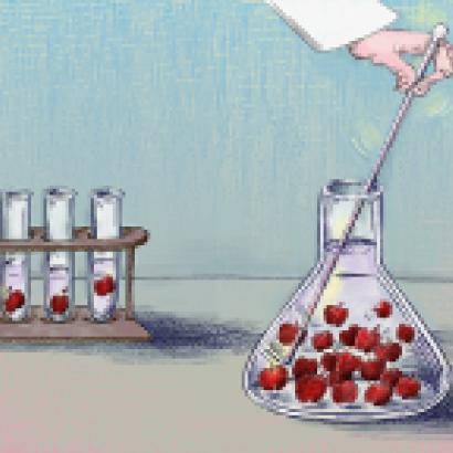 Against the Common Core | Hoover Institution Against the Common Core