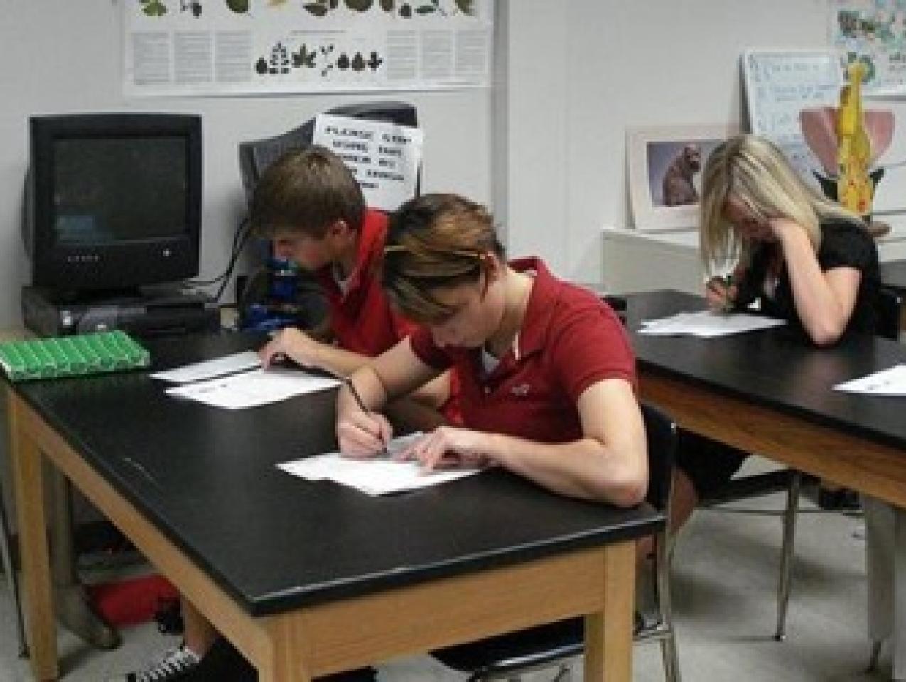 Stop the War Against Standardized Tests | Hoover Institution Stop the ...